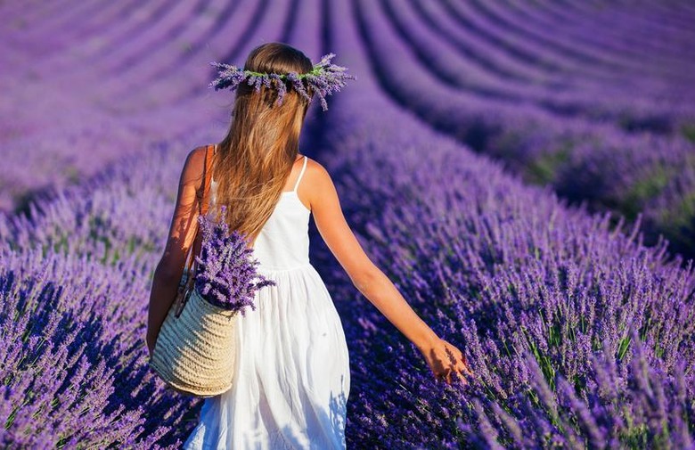 Lavanda – biljka koja i opušta i budi | Citydeal.ba